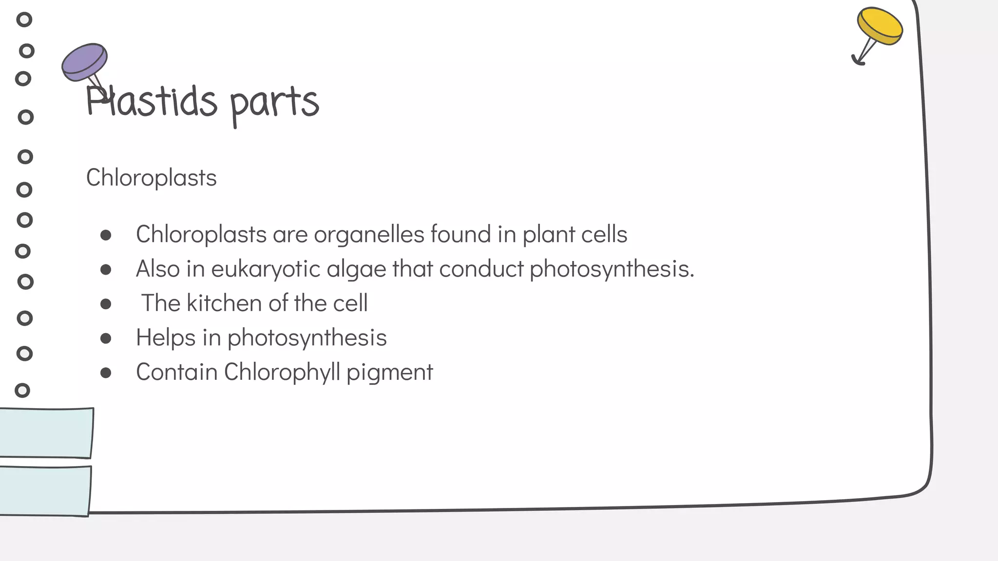 Plastids and its types for class 8th | PPTX