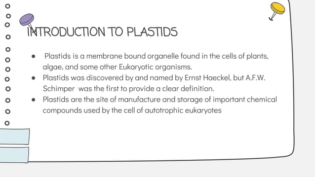 Plastids and its types for class 8th | PPT