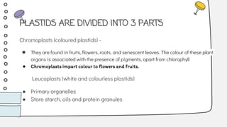 Plastids and its types for class 8th | PPTX