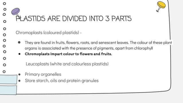Plastids and its types for class 8th | PPT