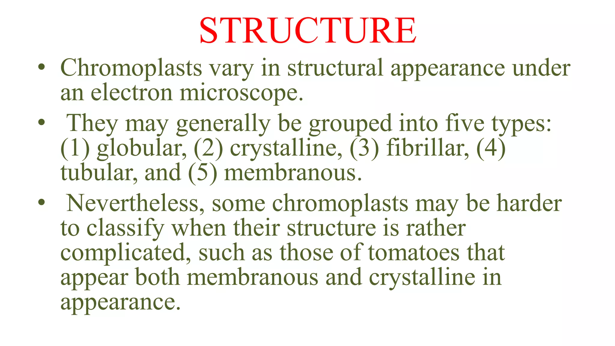 Plastids presentation | PDF