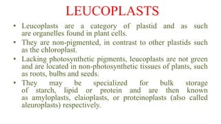 Plastids presentation | PDF