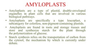 Plastids presentation | PDF