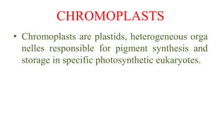 Plastids presentation | PDF