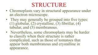 Plastids presentation | PDF