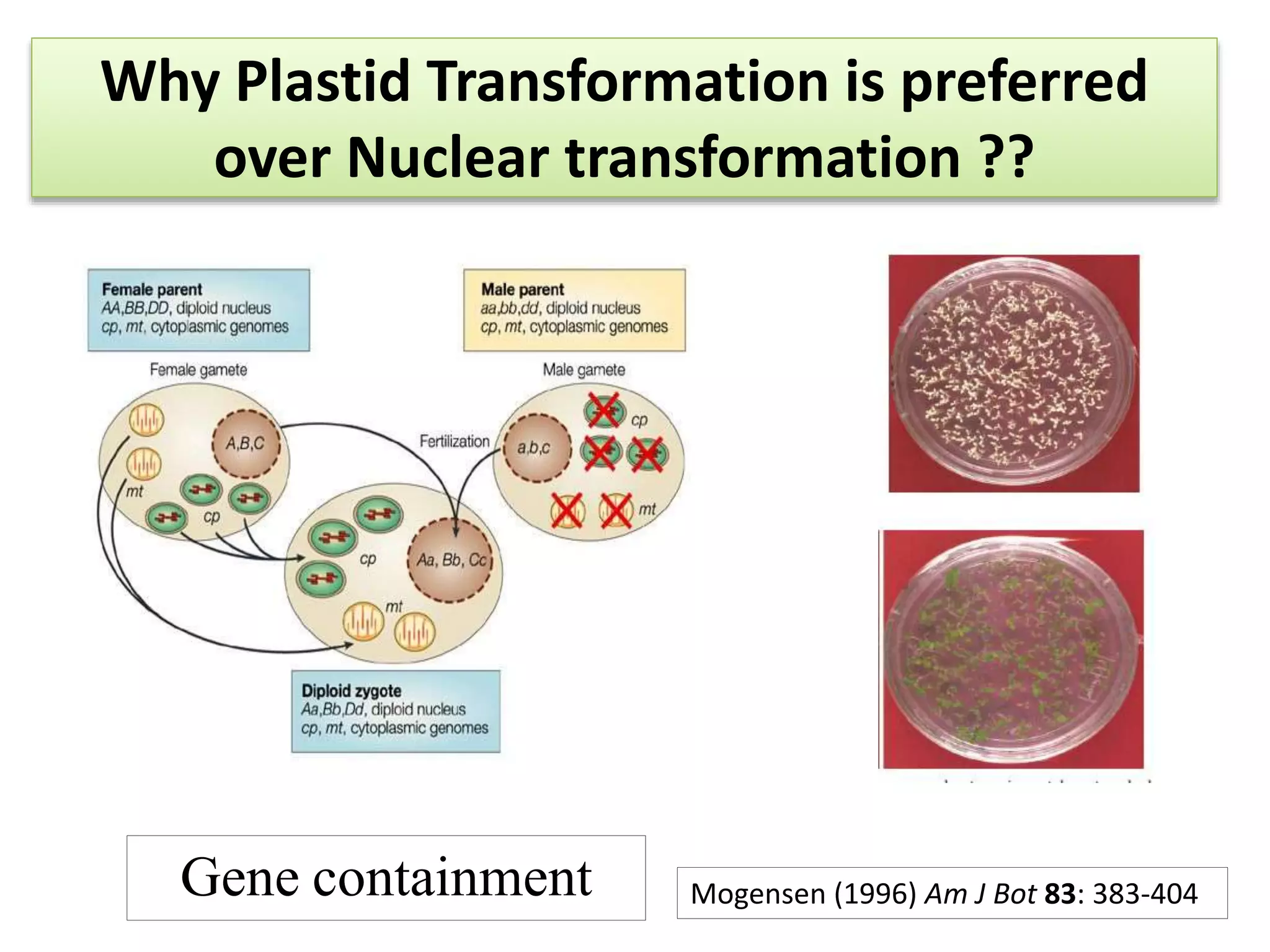 Plastids transformation | PPTX
