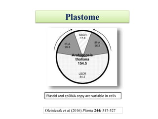 Plastids transformation | PPTX