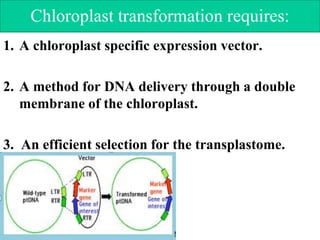 Plastid trnsformation | PPTX