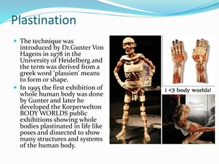 Plastination | PPTX