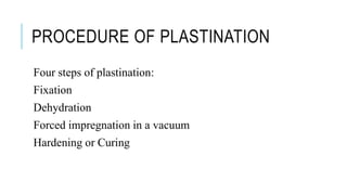 Plastination by OBAJE Godwin Sunday | PPTX | First Aid | Injuries