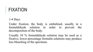Plastination by OBAJE Godwin Sunday | PPTX | First Aid | Injuries