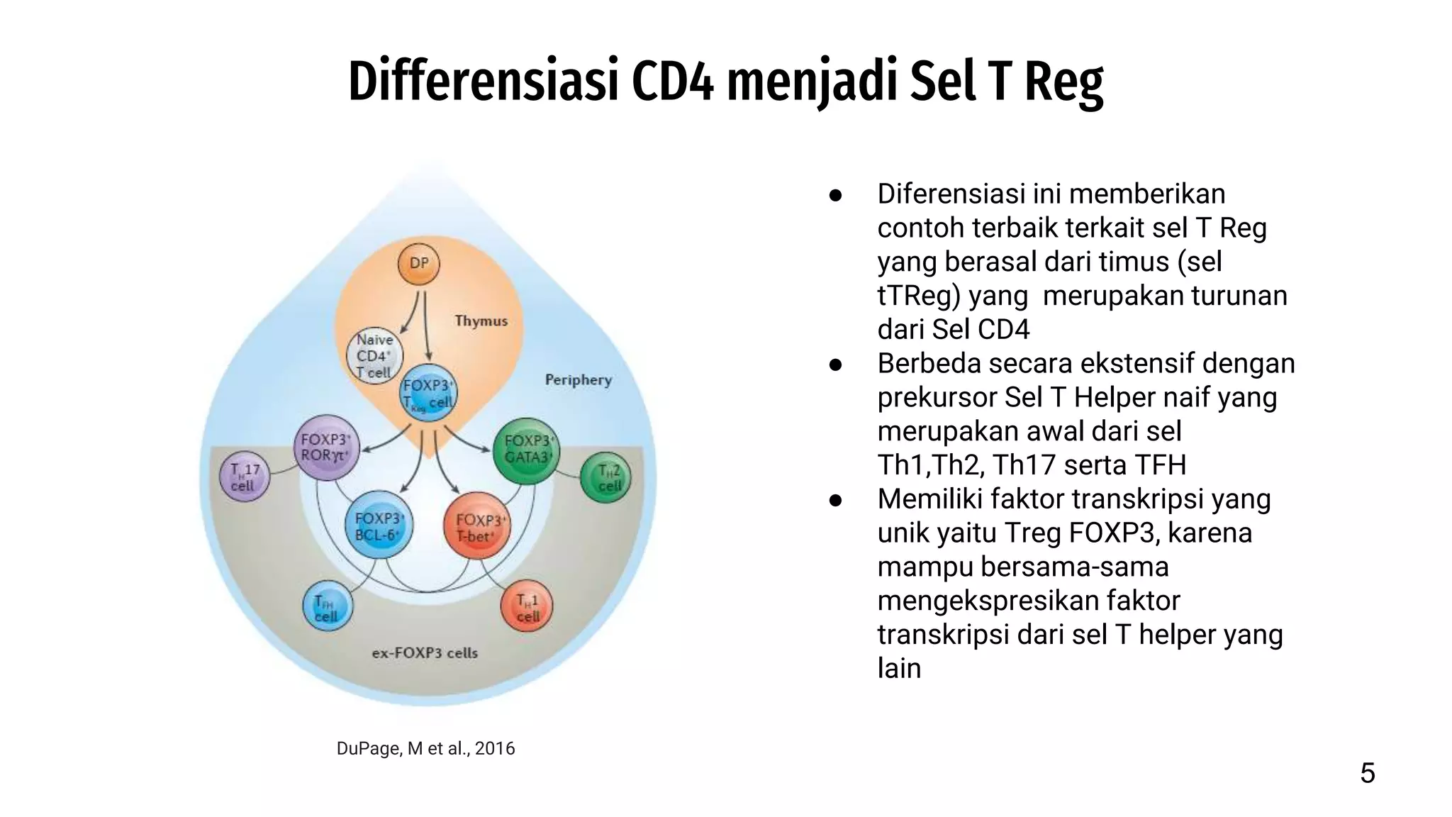 Plastisitas Sel T Patogen .pptx