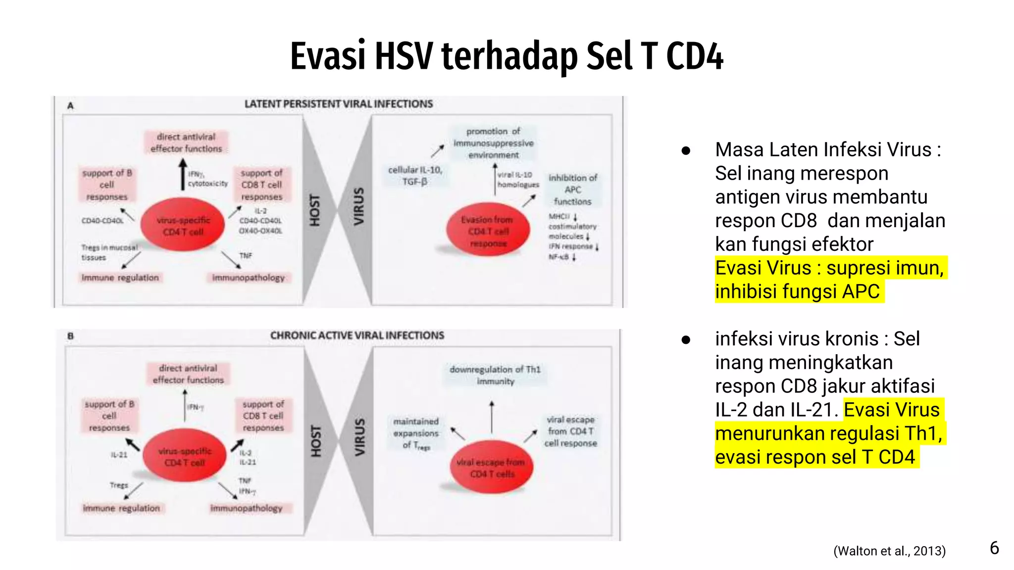 Plastisitas Sel T Patogen .pptx
