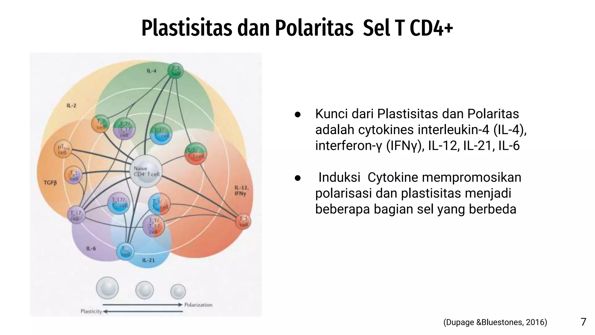Plastisitas Sel T Patogen .pptx