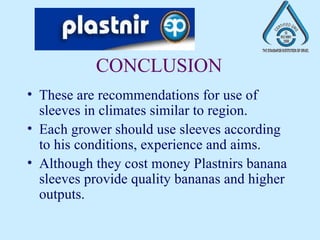 Banana Sleeves Developed By Plastnir | PPT
