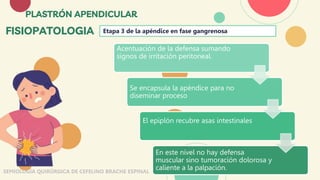 Plastron apendicular ale.pptx