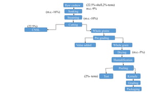 Plat design on cashew processing | PPTX