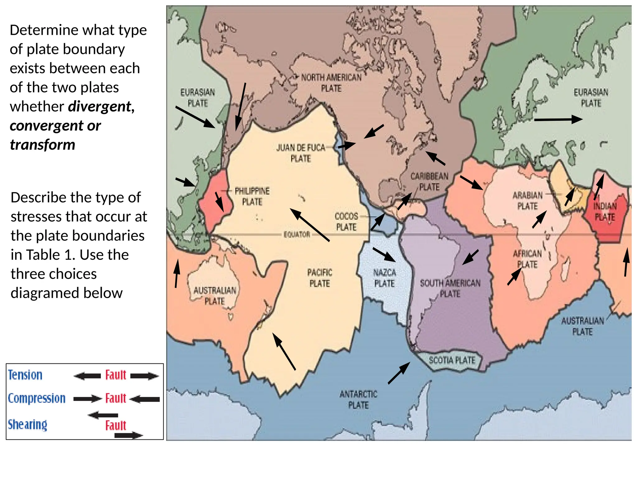 The Plate Tectonics Activity for Science 10.pptx