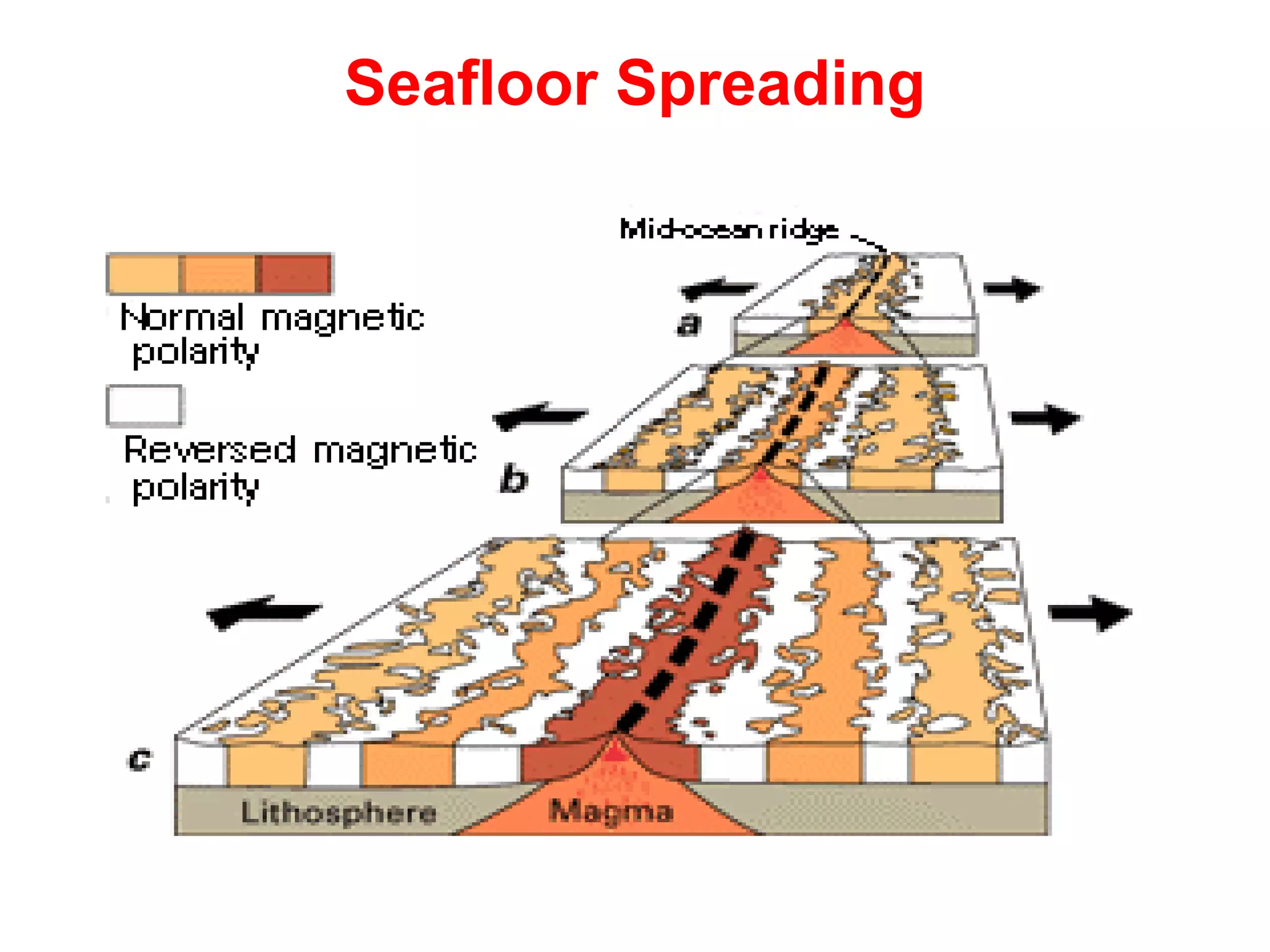 WHAT IS A PLATE? MAJOR PLATES. Types of Earth’s Crust. Plate Boundary | PPT