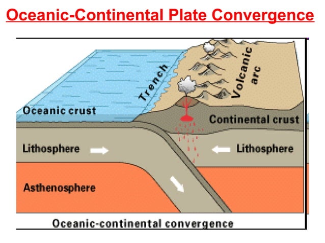 WHAT IS A PLATE? MAJOR PLATES. Types of Earth’s Crust. Plate Boundary ...