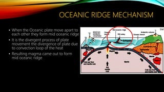 Plate tectonics and various landforms form by plate movements of earth ...
