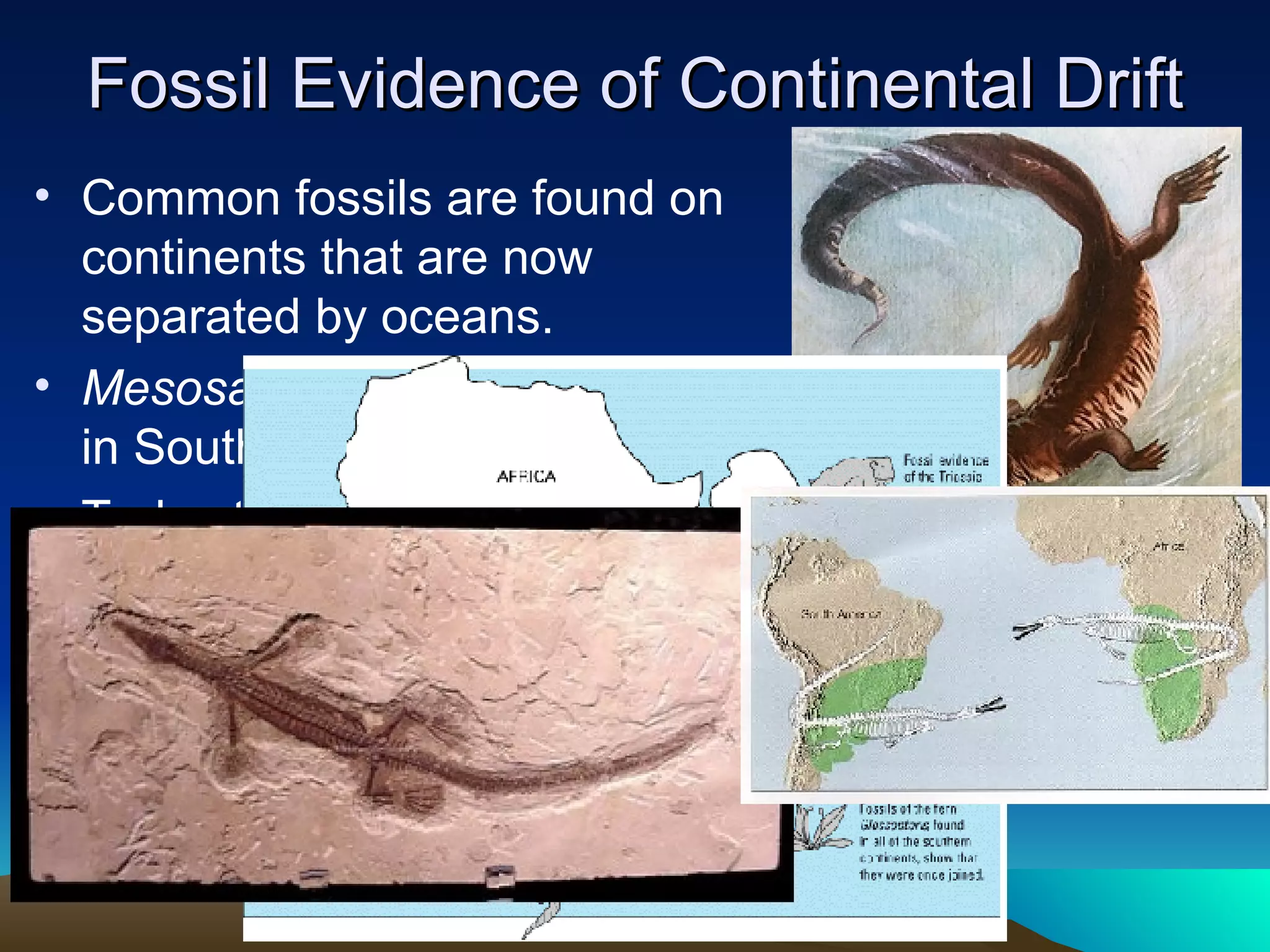 Plate Tectonics 9 | PPT