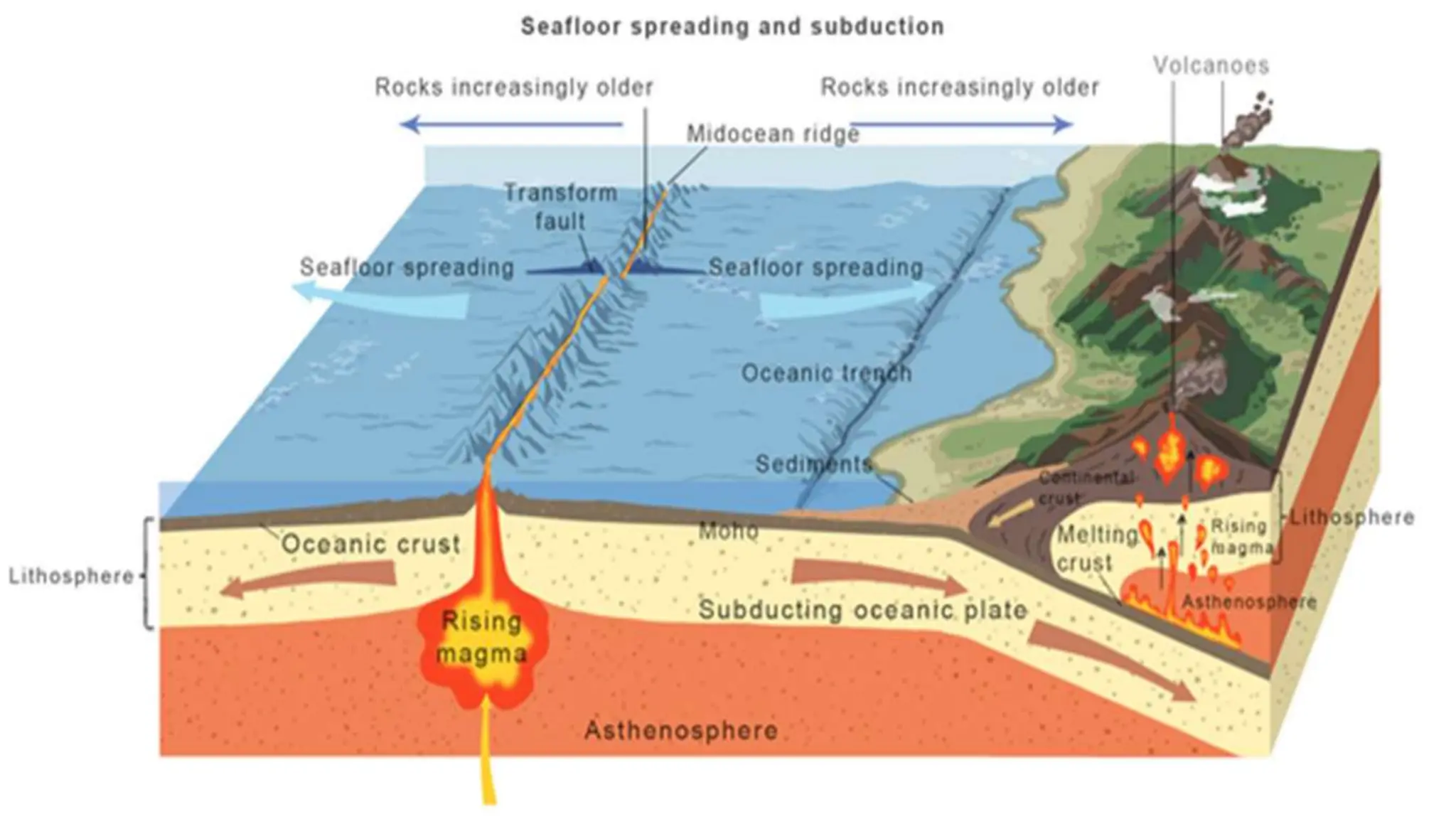 PLATE-TECTONICS-COT.pptx
