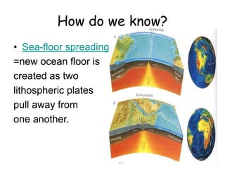 Plate Boundaries powerpoint.ppt