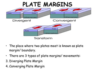 plate circuits.pptxeeeweeeeeeeeeeeeeeeeeeeeeeeeee | PPT