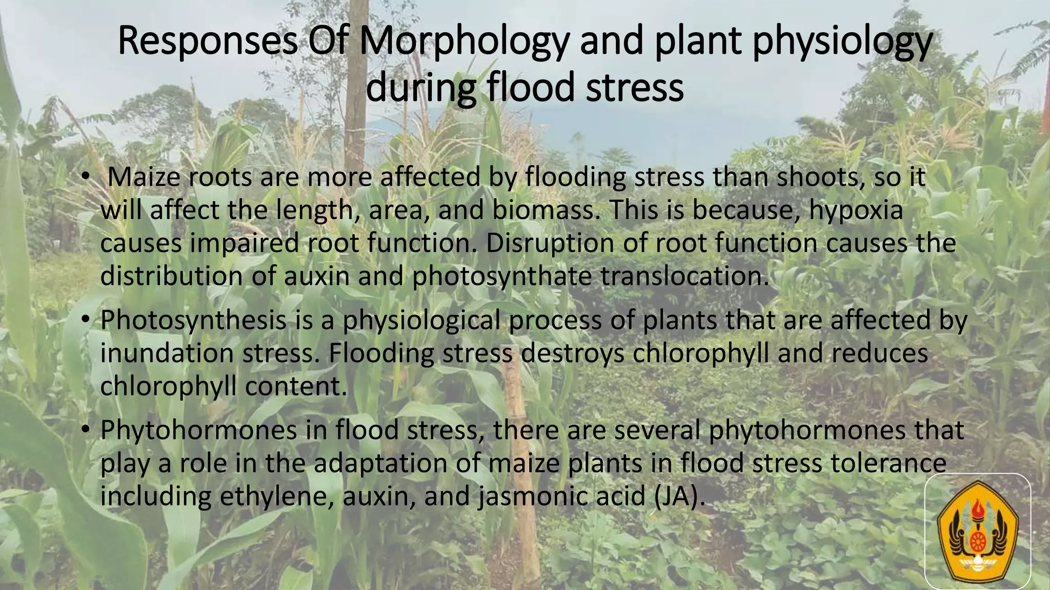 Plat eco-physiology.pptx