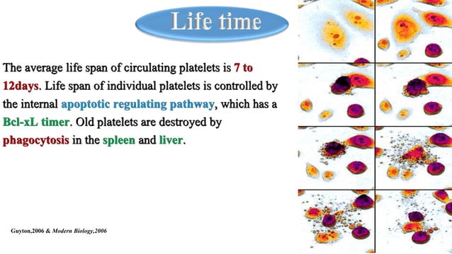 Platelet | PPT