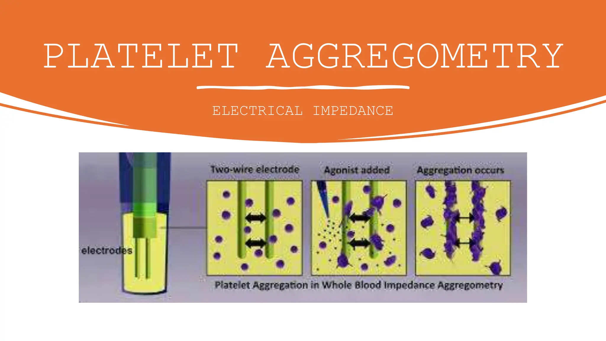 PLATELET-PRODUCTIONSTRUCTURE-AND-FUNCTION.pdf