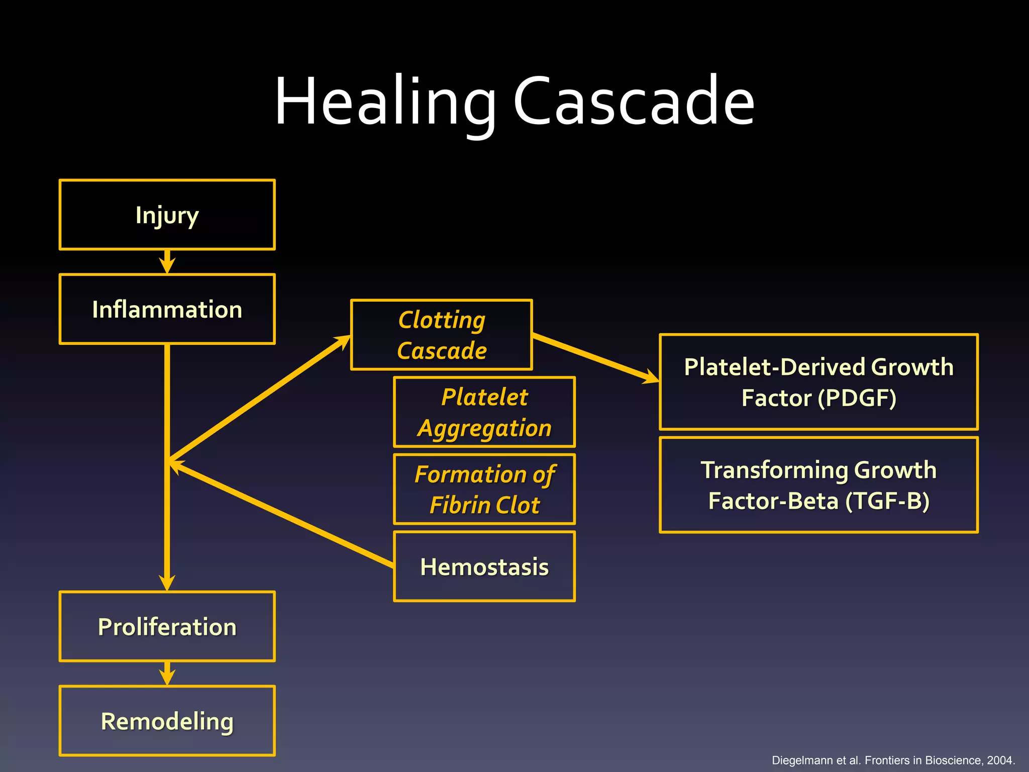 Platelet-Rich Plasma | PDF