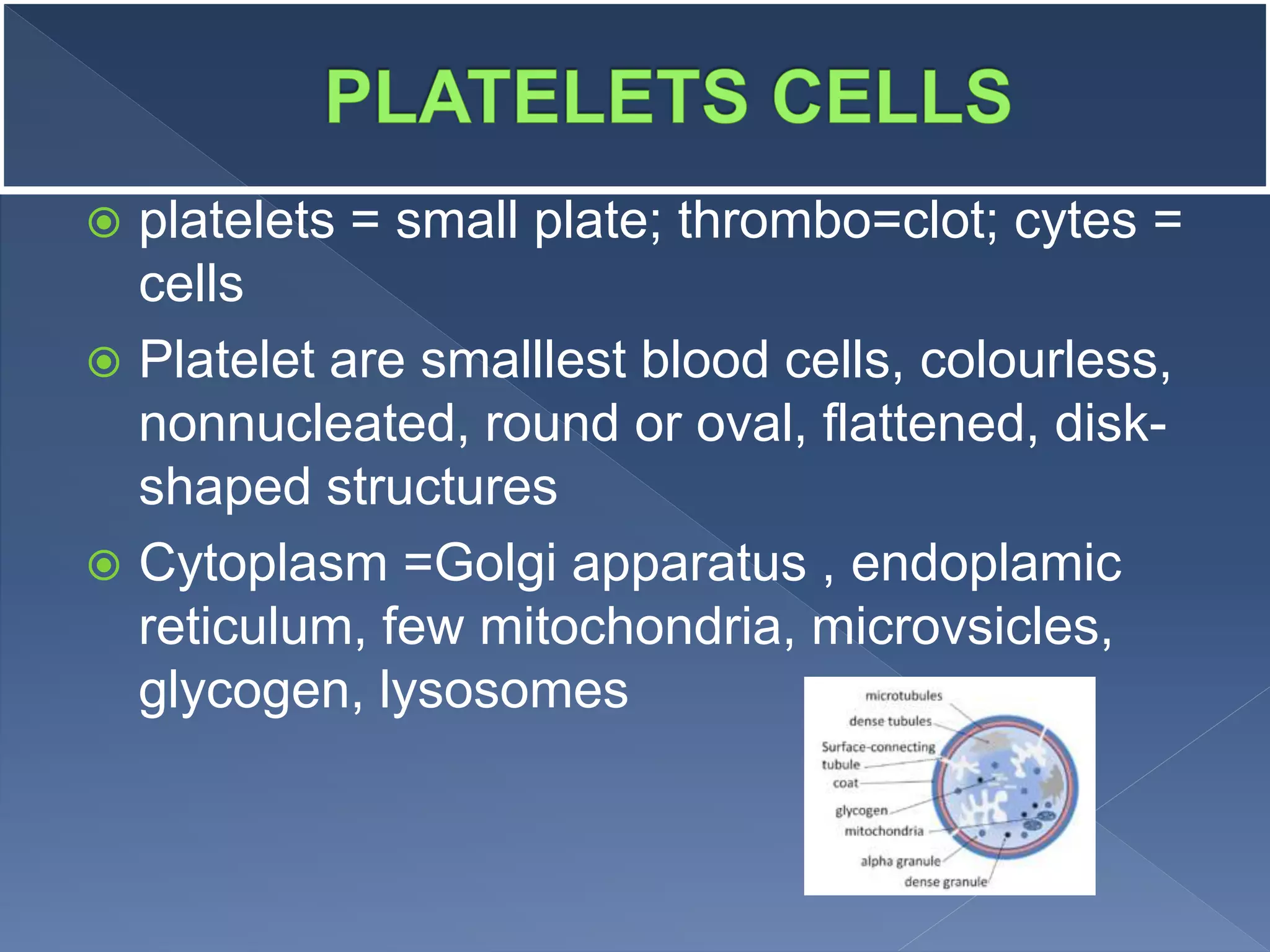 Platelet cell | PPTX