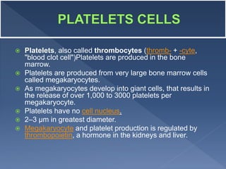 Platelet cell | PPTX