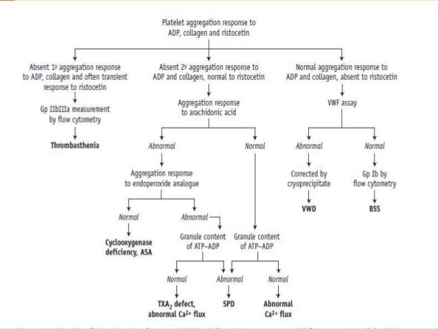 Platelet Aggregation