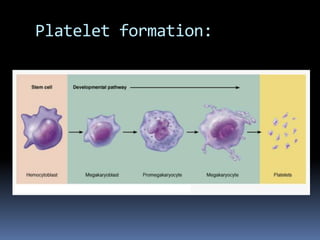 Platelet and coagulation disorder | PPTX