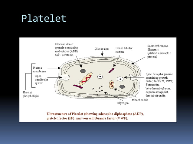 Platelet and coagulation disorder | PPTX