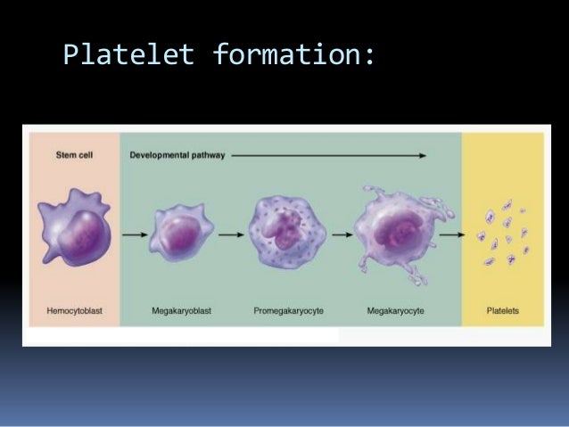 Platelet and coagulation disorder