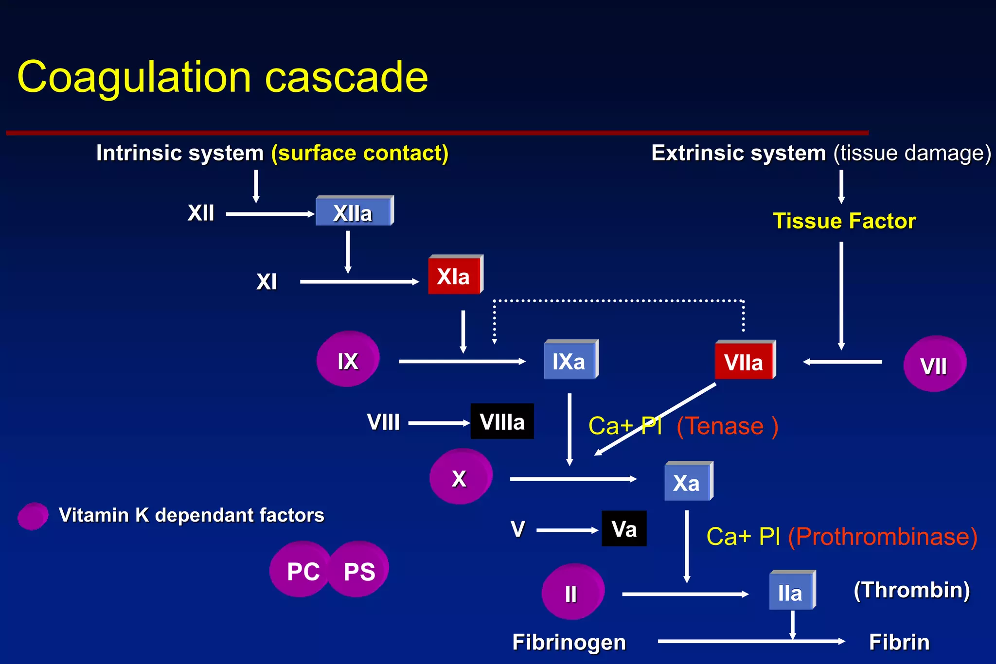 Platelet and coagulation post graduate lecture | PPTX