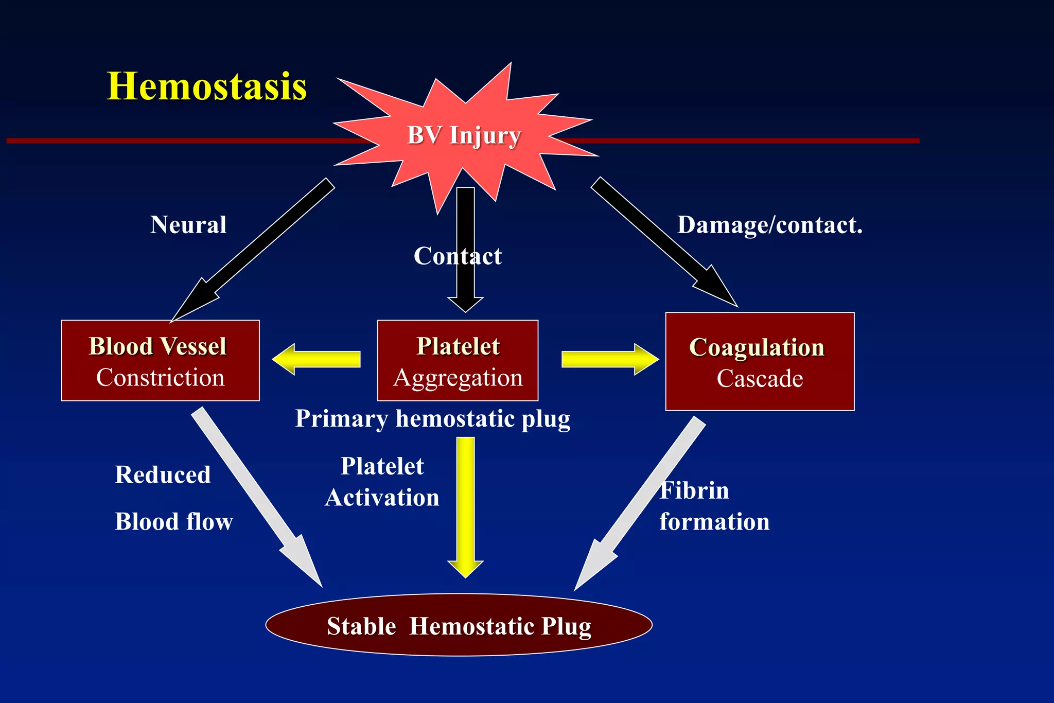 Platelet and coagulation post graduate lecture | PPTX