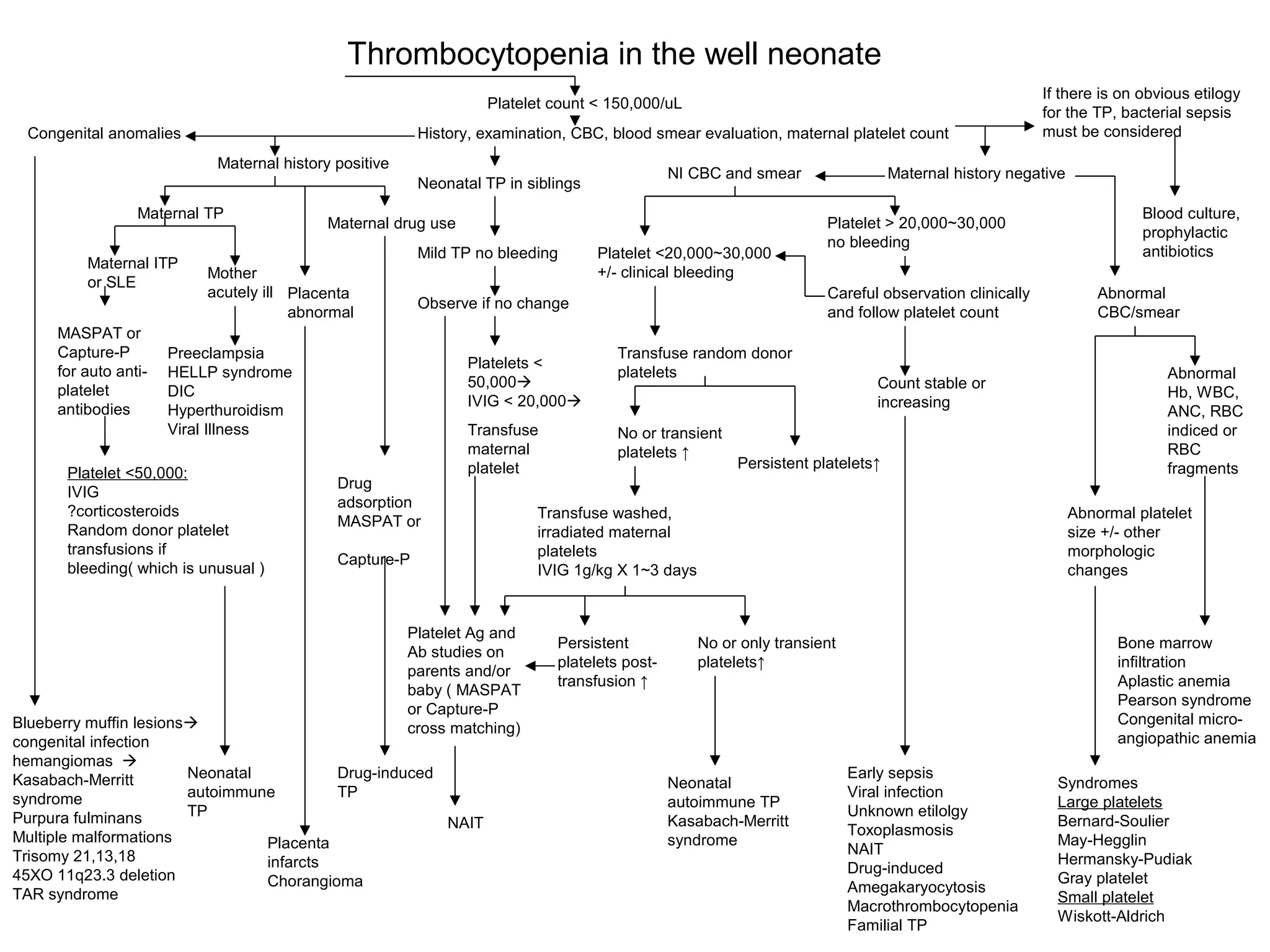 evaluation of thrombocytopenia | PPT | Blood Disorders | Diseases and ...
