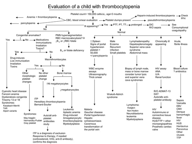 evaluation of thrombocytopenia | PPT | Blood Disorders | Diseases and ...