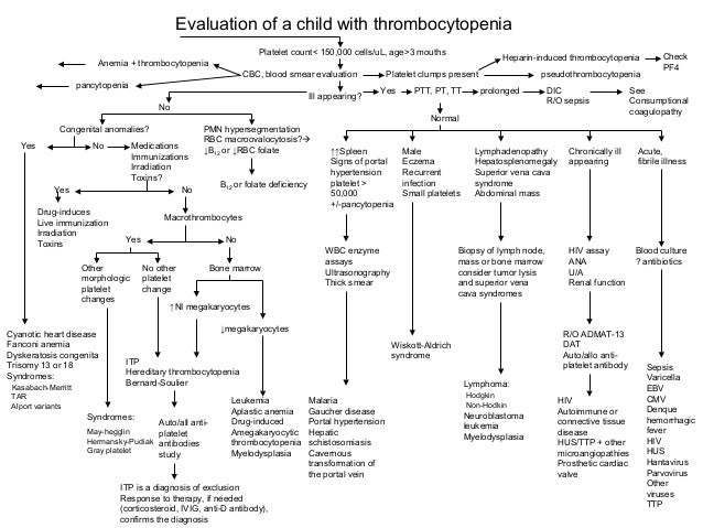 Evaluation Of Thrombocytopenia