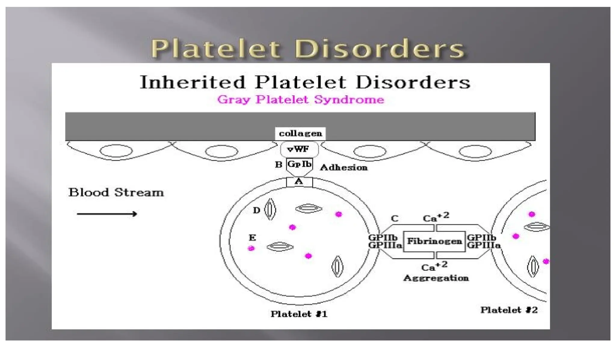Platelet disorders in Internal medicine.pptx
