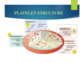 Platelete disorders | PPTX