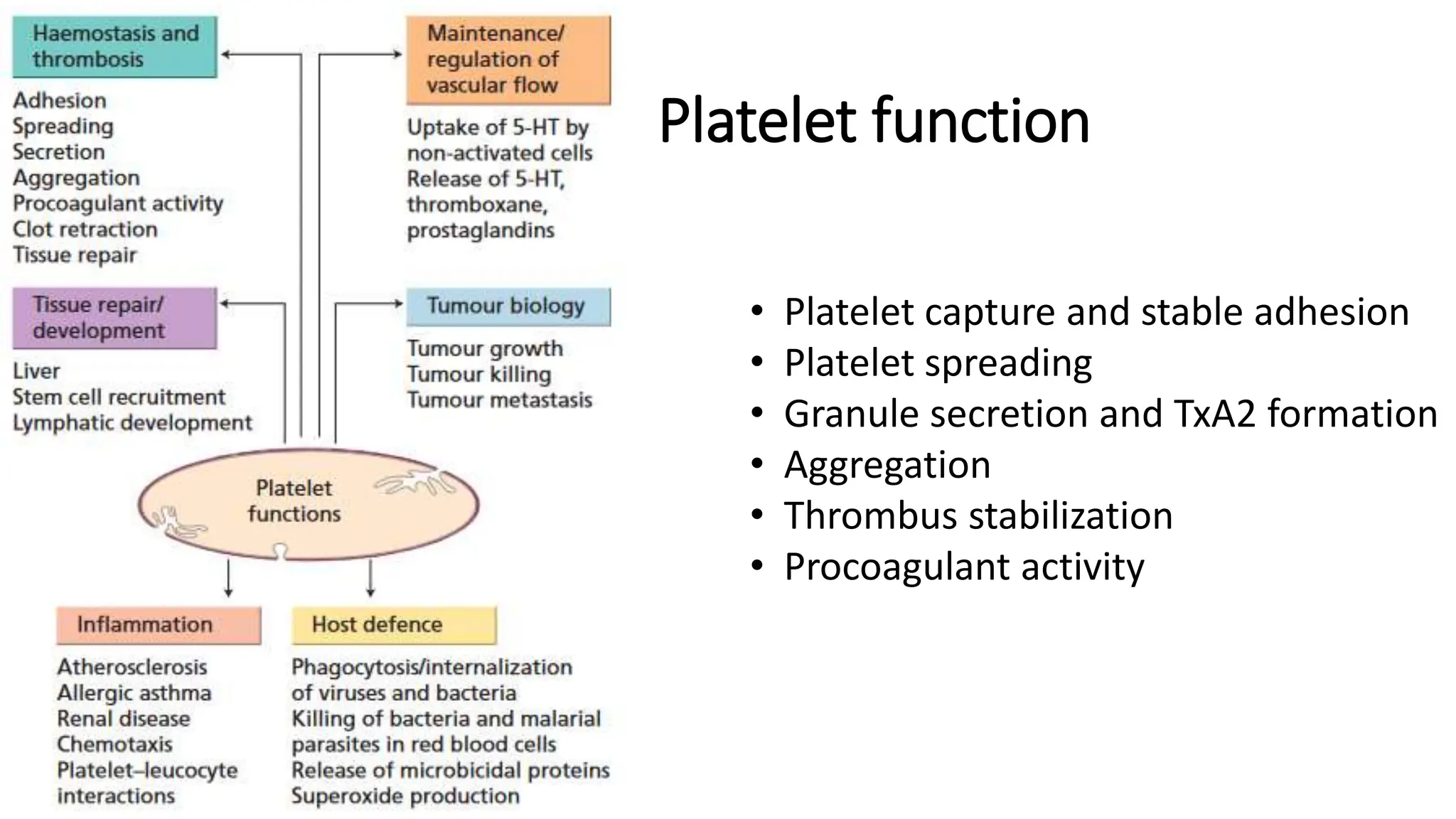 Platelet Function Disorders Assessment And Testingpptx