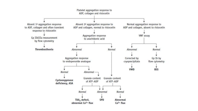 Platelet Function Disorders Assessment And Testingpptx