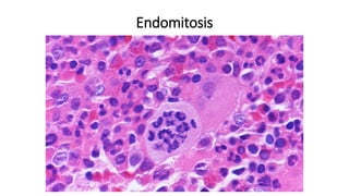 Platelet function disorders, assessment and testing.pptx