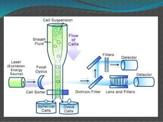 Platelet Function Testspptx 2pptx Final